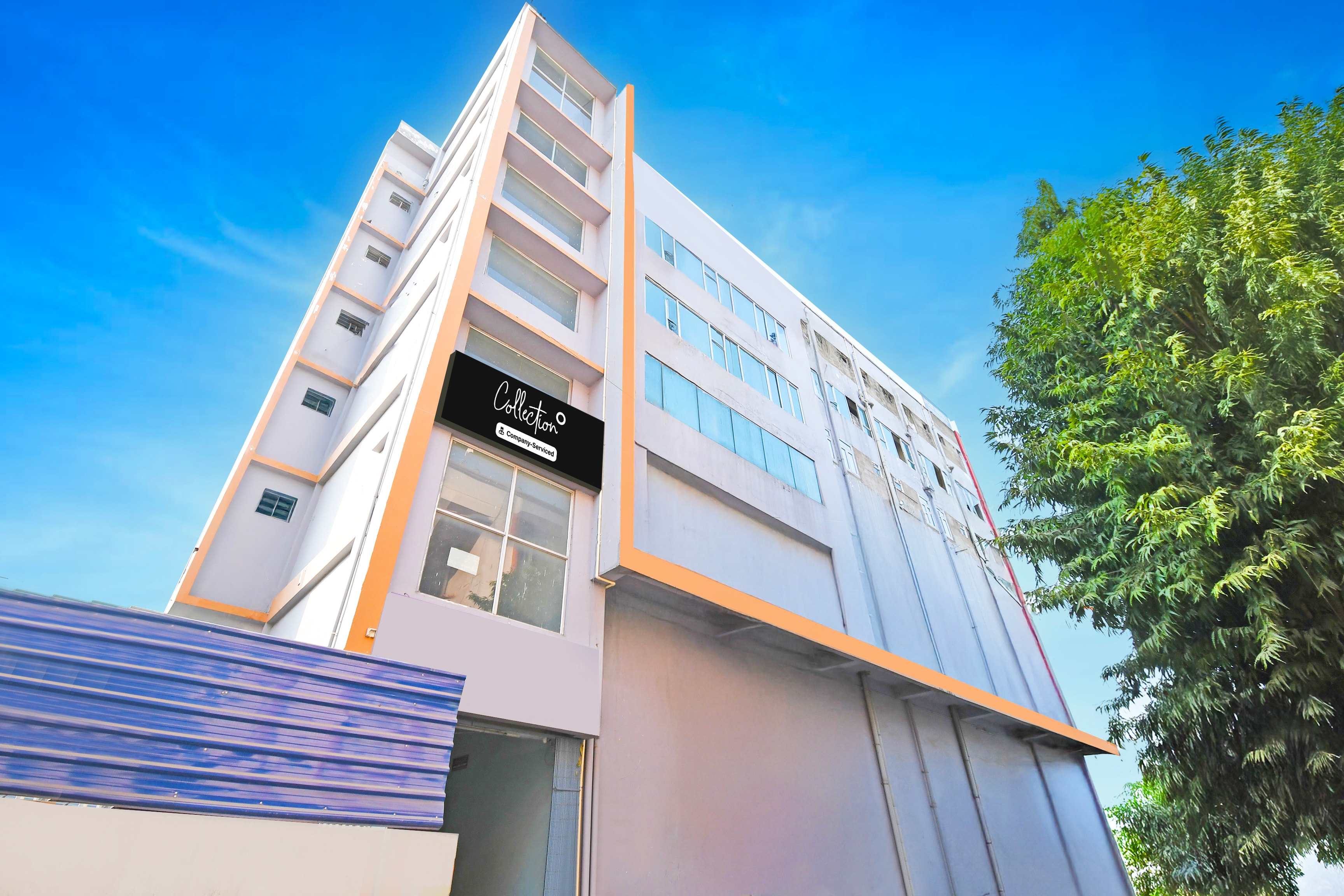 Book Super Collection O Raja Bazar Bailey Road Patna | Book @ Rs 2067